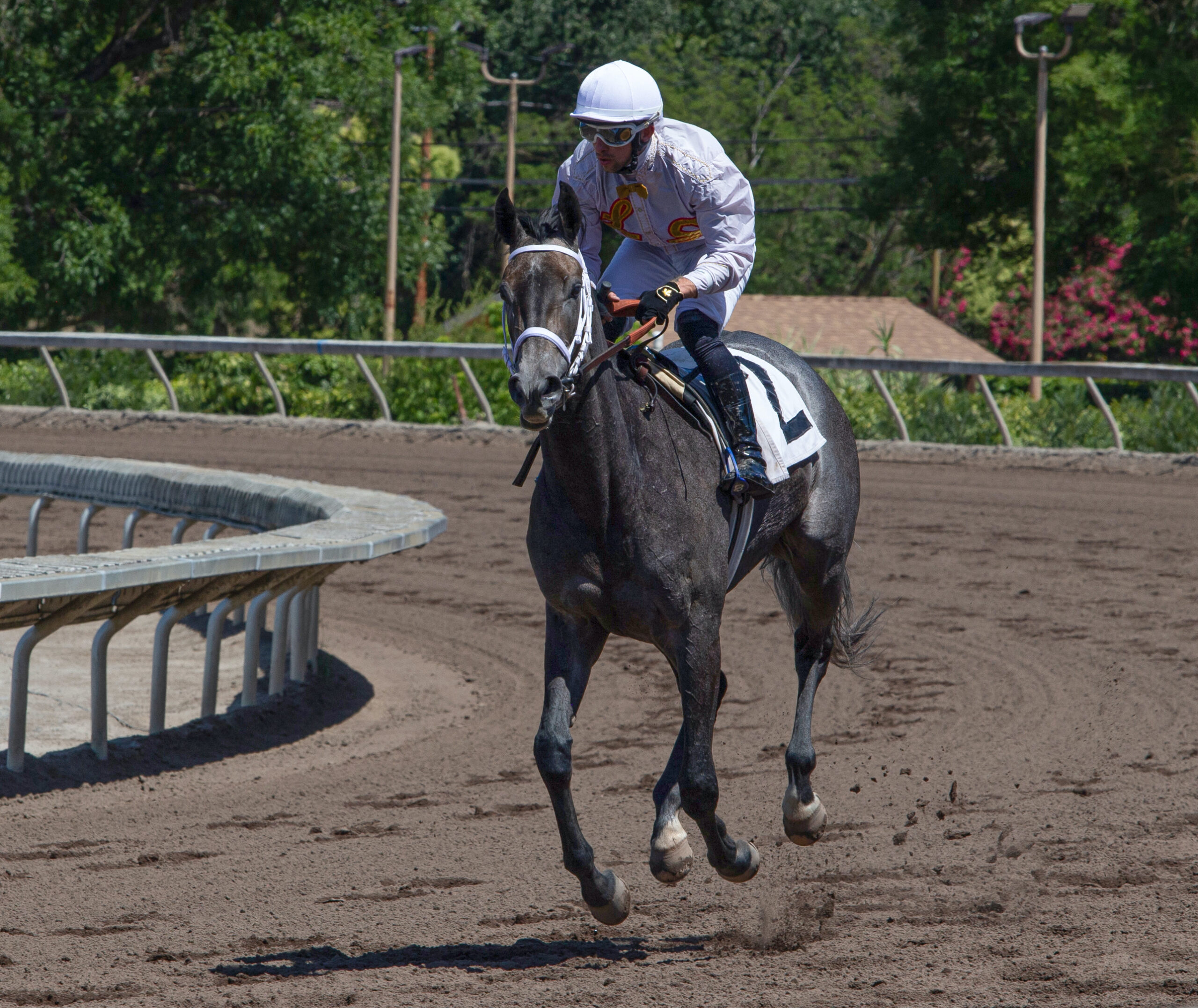 The thrill of the race - Pleasanton Weekly