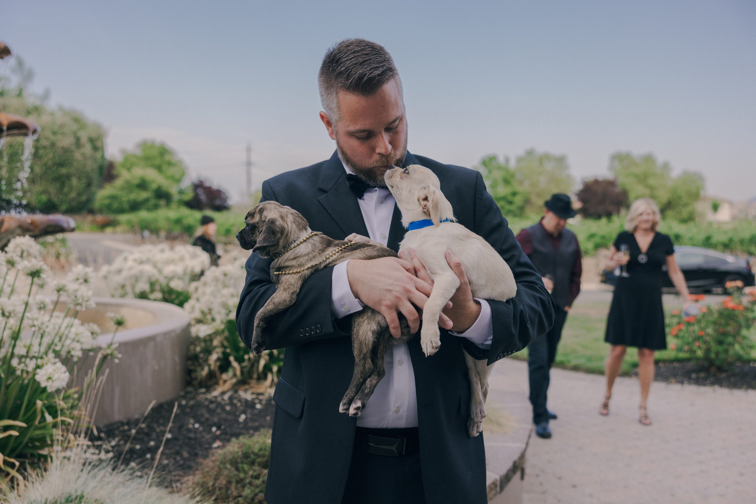 'A night that changes lives': Have a ball to benefit Valley Humane ...