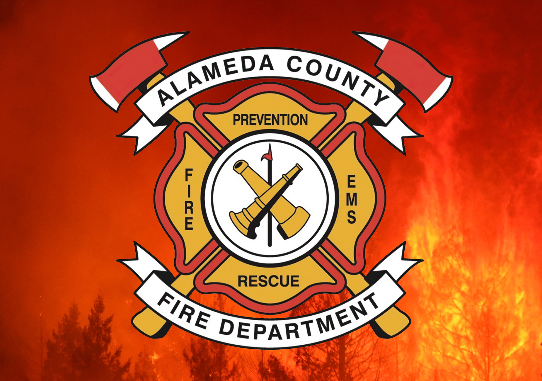Sunol vegetation fire 50% contained, forward progress stopped ...