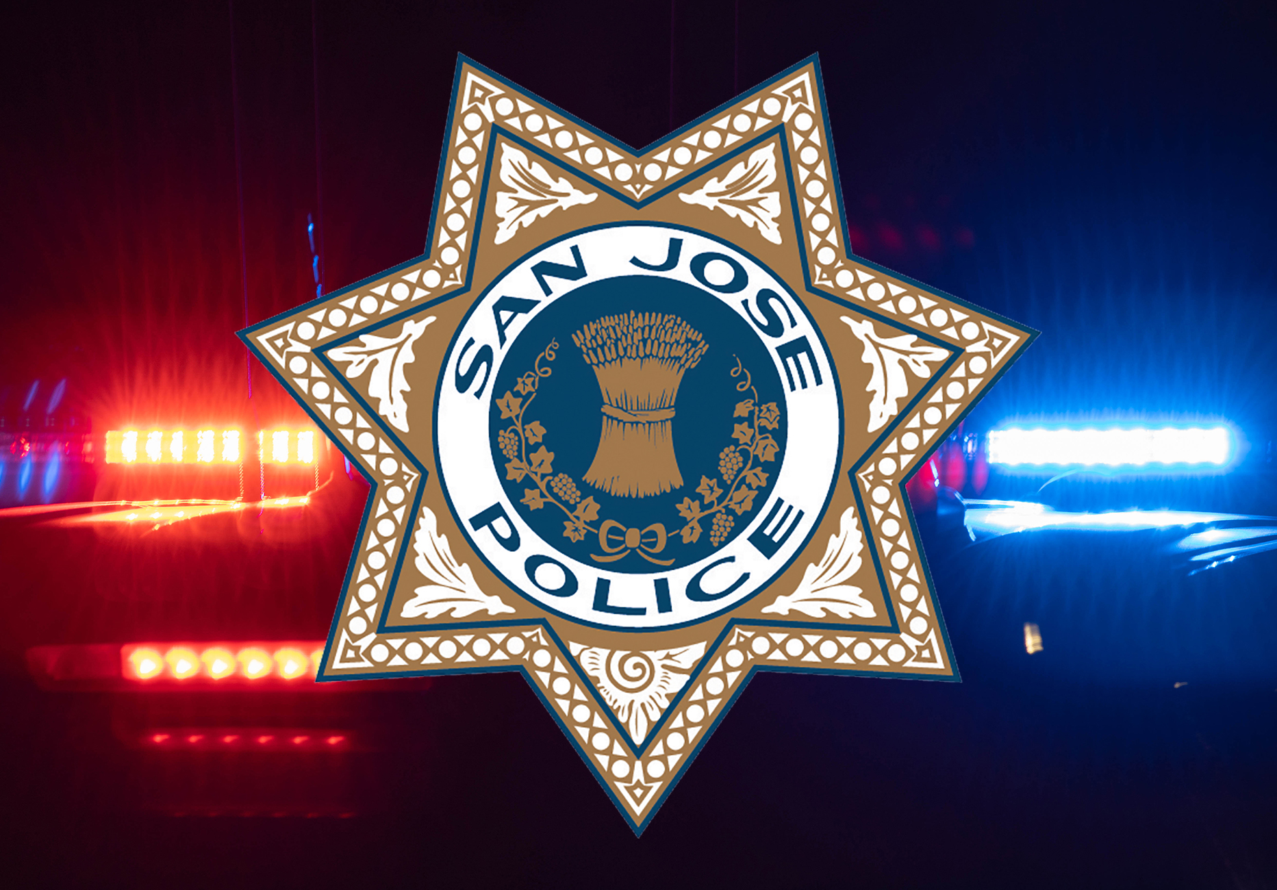 7 suspects arrested in mob-style robbery of San Jose jewelry store ...