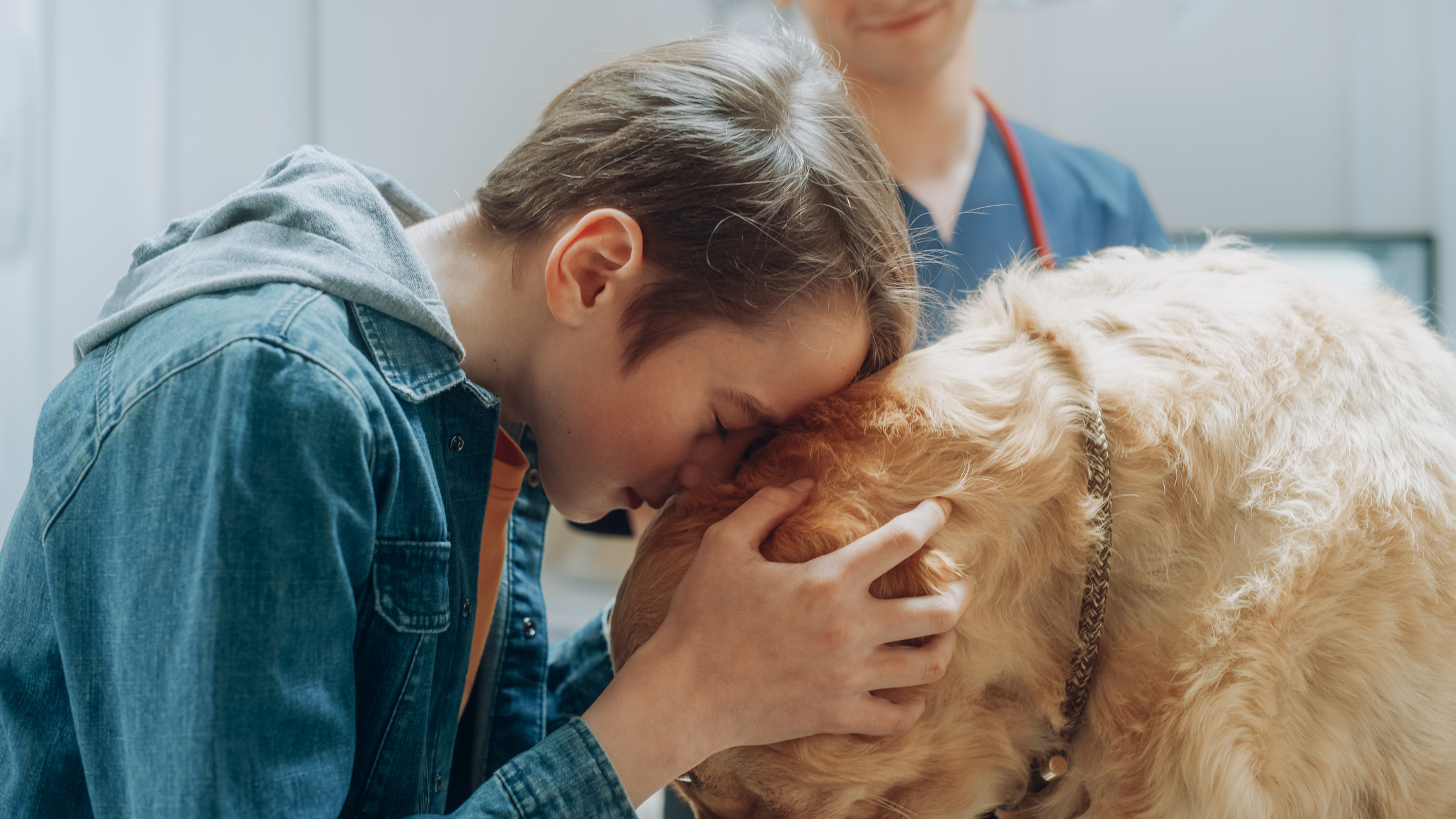 Where hope has fur: The role of animals in opioid addiction recovery ...