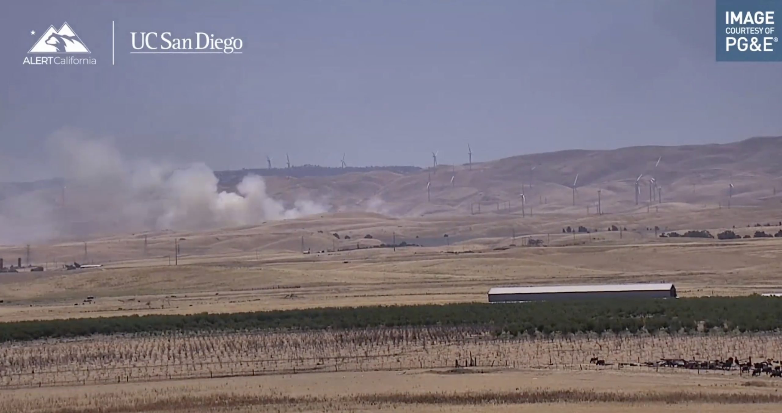 Grant Fire grows to 22 acres between Livermore and Tracy - Pleasanton ...